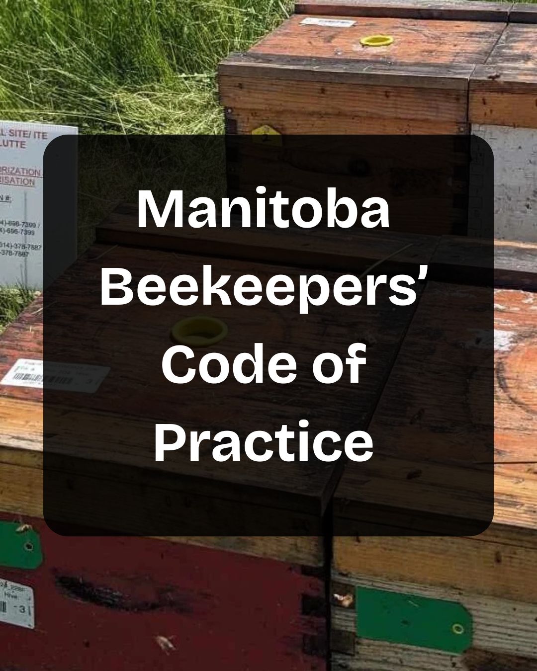 MBA Code of Practice - manitobabee.org